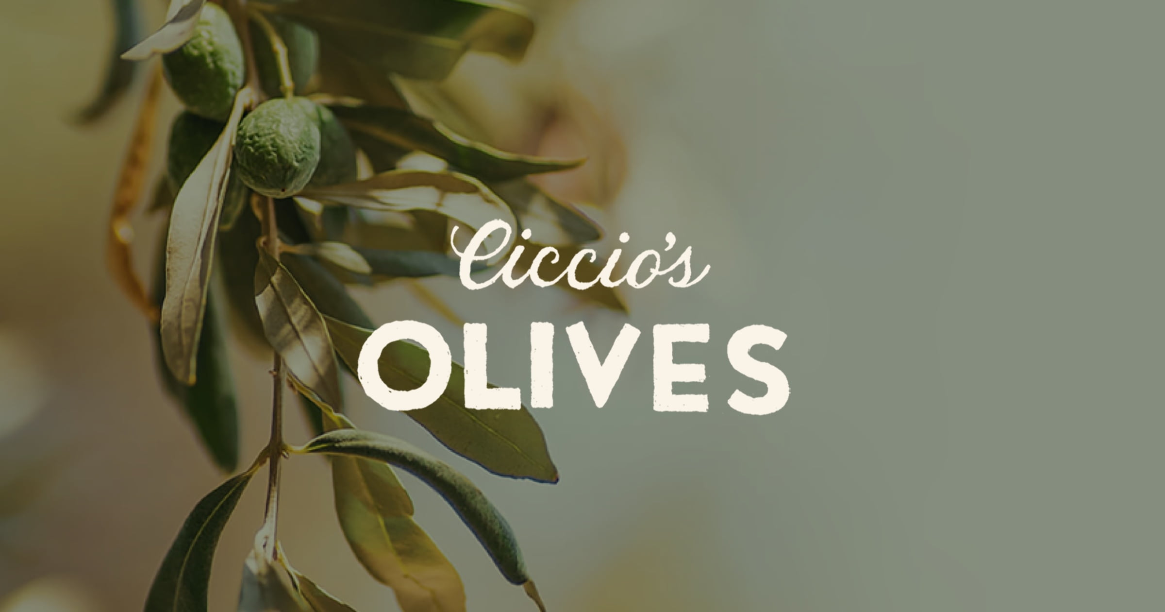 Unfiltered Calabrian Olive Oil | Shop | Ciccio's Olives | Ciccio's Olives